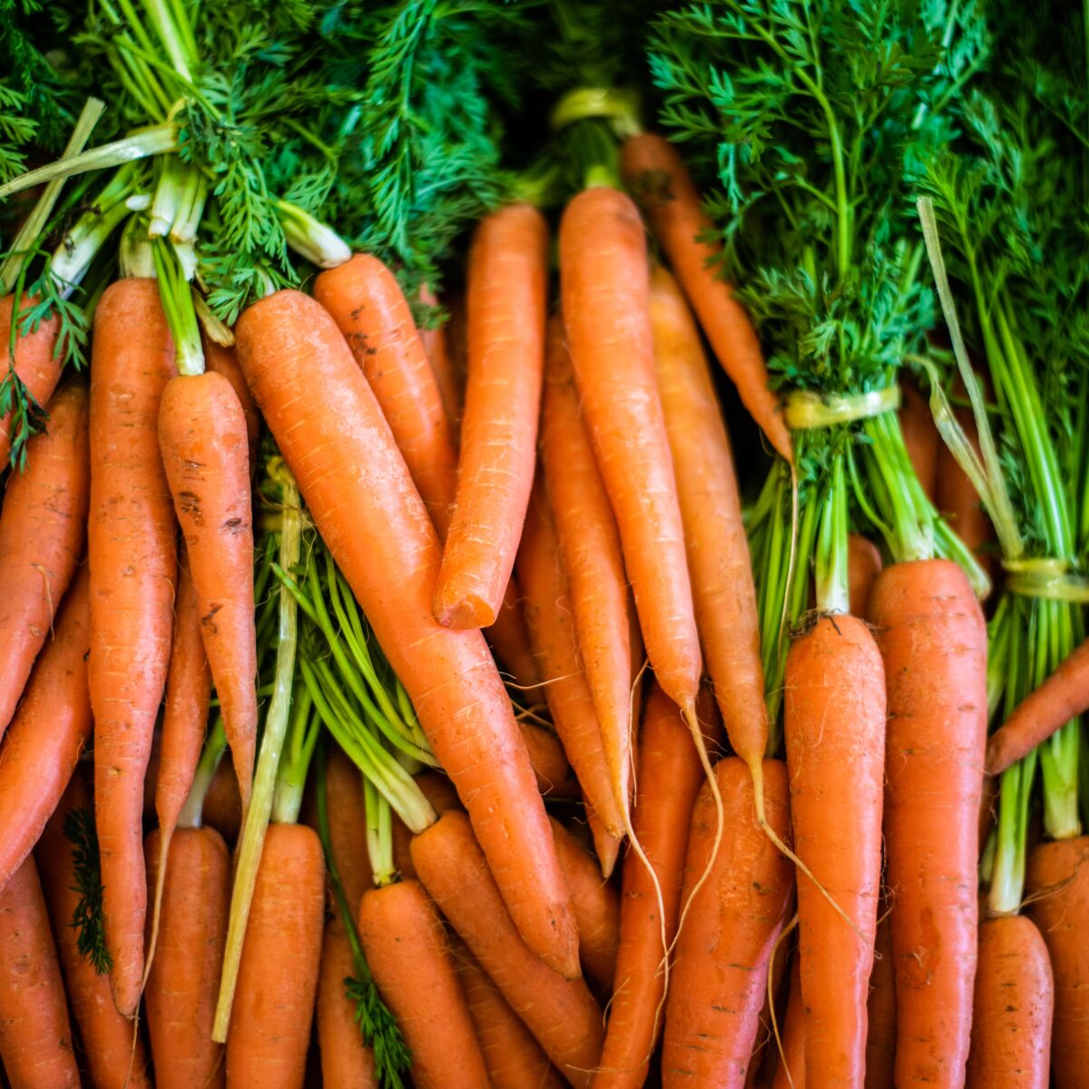 How many carrots should you eat a day to have a tanned complexion?